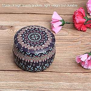 Tinplate Storage Box, Tinplate Storage Box Metal Canister Home Kitchen Box for for Dry Storage Spices, Camping, Party Favors, and Sweets Gifts(E)