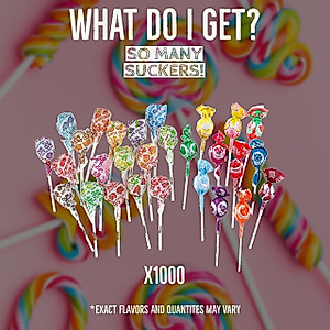 Bulk Suckers Individually Wrapped Bulk Lollipops - Dum Dums and Charms Mini Assorted Pops (1000 Count) by Bussin Boxes