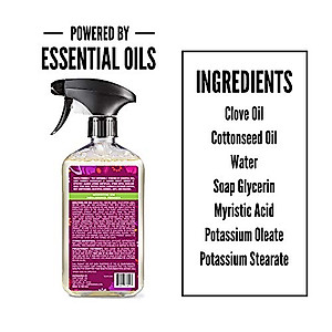 Aunt Fannie’s Houseplant & Garden Insect Remedy, Indoor and Outdoor Plant Insect Killer (6-Pack)