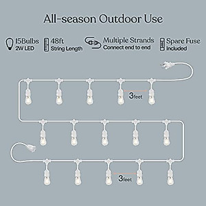 Brightech Ambience Pro - Waterproof LED Outdoor String Lights - Hanging, Dimmable Vintage Edison Bulbs, 48 Ft Commercial Grade Patio Lights Create Cafe Christmas Ambience In Your Backyard, 15 Bulbs 2W