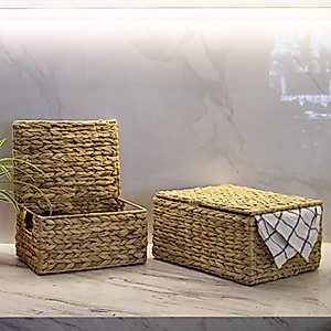 Set of 3 Pack Nesting Storage Baskets with Lids and Insert Handles for Home Organization | Small Closet Wicker Lidded Baskets for Shelves | Straw Wire Woven Storage Baskets with Lids (Water Hyacinth)