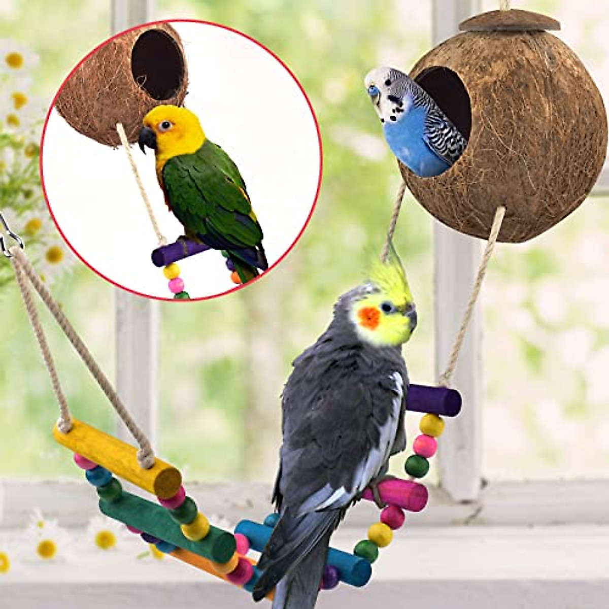 KATUMO Bird Toys, Natural Coconut Bird House with Colorful Ladder Hanging Chewing Toys Hammock Climbing Ladder Bird Colorful Toys with Bells for Parakeet, Conure, Cockatiel, Mynah, Love Birds, Finch
