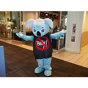 Big Koala Dream Room Party