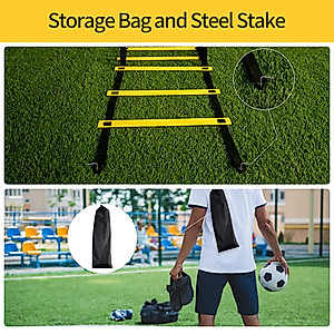 Agility Ladder Set, 2 Pack 12 Rungs Agility Ladder Set, Speed Training Ladder with Steel Stakes and Carry Bag for Soccer, Speed Fitness Feet Training (2 Pack, 12 Rungs)