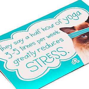 American Greetings Funny Birthday Card for Her (So Does Ice Cream)