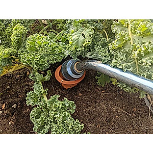 Clay Olla - Quart Sized - Ideal for Elevated Garden Planters, Grow Bags or 14" - 18" Pots