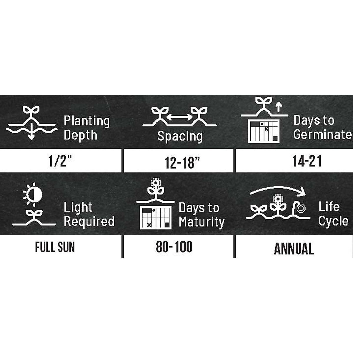 Mammoth Sunflower Seeds for Planting - Grow Giant Sun Flowers in Your Garden - 50 Non GMO Heirloom Seeds - Full Planting Instructions for Easy Grow - Great Gardening Gifts (1 Packet)