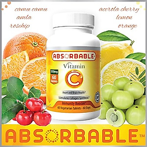 ABSORBABLE Vitamin C 500 mg with Rose Hip and 6 Natural Vitamin C Sources, Science Backed Proprietary Blend 60 Tablets
