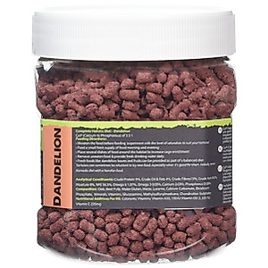 Komodo Complete Holistic Tortoise Diet, Dandelion, Tube,170 g