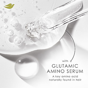 Dove Shampoo and Conditioner 2 Count for Damaged Hair Intensive Repair Bio-Protein Care Technology and Amino Serum 12 Fl Oz