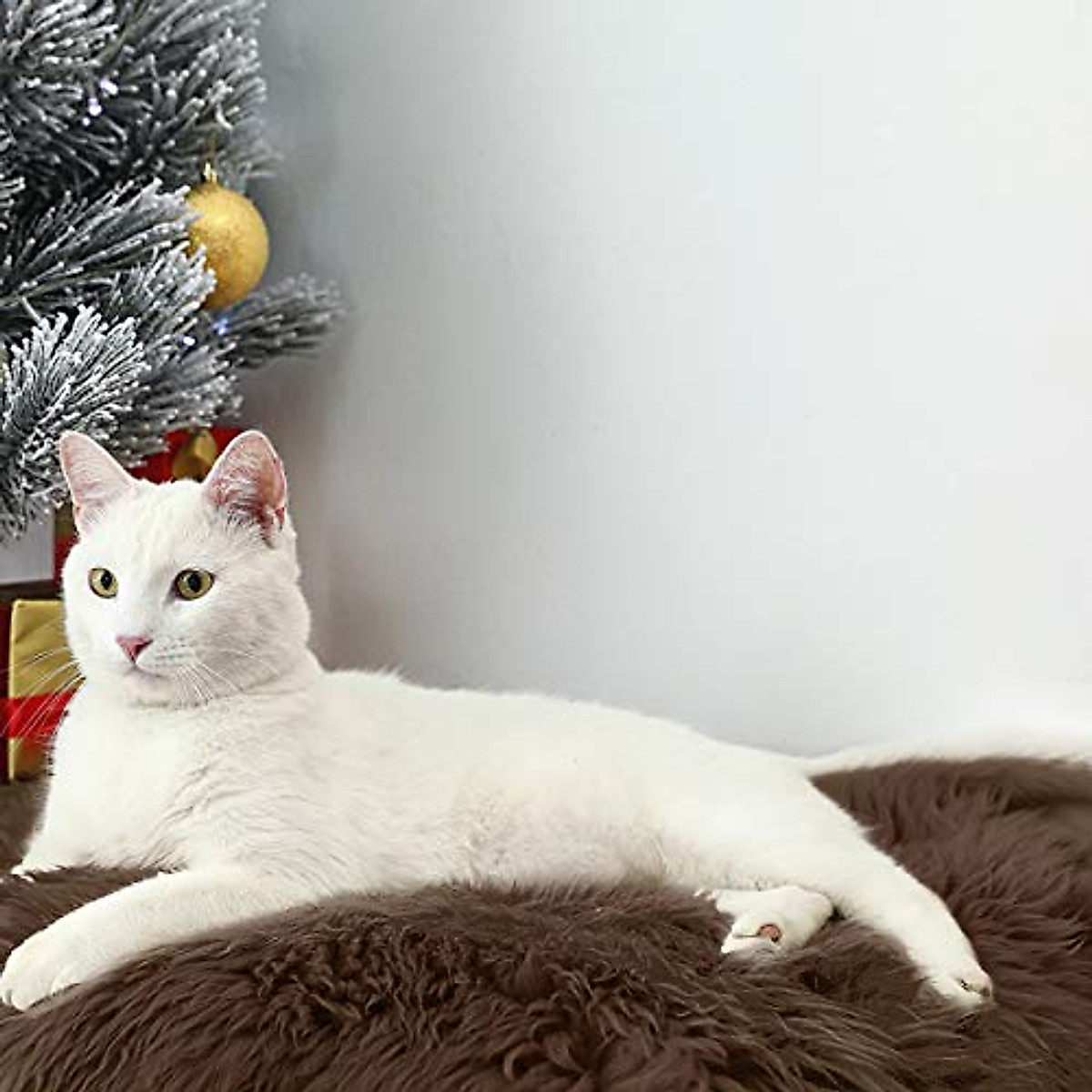 HYSEAS Faux Sheepskin Fur Area Rug Brown, 2x3 Feet, Fluffy Soft Fuzzy Plush Shaggy Carpet Throw Rug for Indoor Floor, Sofa, Chair, Bedroom, Living Room, Home Decoration