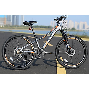 MEGHNA Bike Rear Derailleur RD-TZ31-A 6/7 Speed Direct Mount Rear Derailleur for Mountain Bike Tricycle Commuter Bike Folding Bike