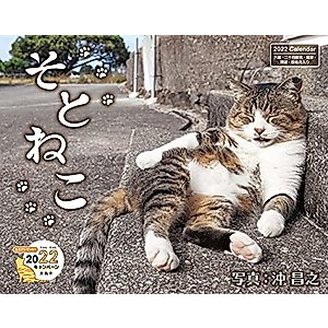 そとねこ (インプレスカレンダー2022)