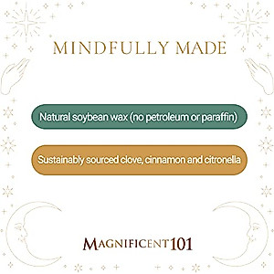 Magnificent 101 Money Cash Flow Boost Large Glass Candle 14oz