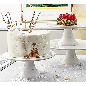 Kingrol 10 Inch Porcelain Cake Stand, Pastry Serving Tray for Snacks Desserts Cookies Cupcakes, Easter Christmas Wedding Home Decor