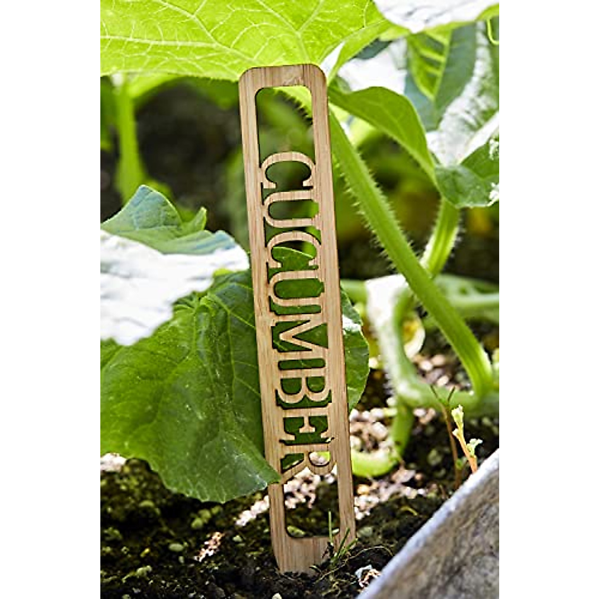 Prospero Living Garden Stakes - Premium 7 Inch Wooden Herb and Vegetable Garden Plant Labels – for Indoor and Outdoor Planters, Pots and Boxes – 25 Commonly Grown Herbs, Veggies, and Fruits.