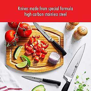 ZWILLING Four Star 20-pc Knife Block Set