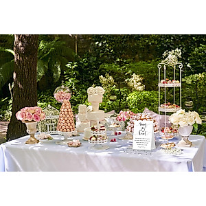 The Ring Hunt Game, Bridal Shower Games with Rings-One Sign and 30 Rings, Bridal Shower and Wedding Shower Games for Guests, Engagement Party Game, Bridal Shower Decorations-LS1