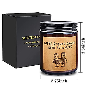 Best Friend Birthday Gifts for Women Men Sister, Unique Friendship Bday Candle Present for Female Her Bestie BFF Long Distance Relationship Girlfriend, Fun Anniversary Ideas (friend-nuts)