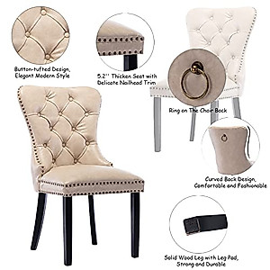 CIMOTA PU Leather Dining Chairs Set of 2, Upholstered Modern Tufted Dining Room Chairs Nailhead Trim Armless Side Chair with Solid Wood for Kitchen/Dining Room/Bedroom (Beige, Ring on The Back)