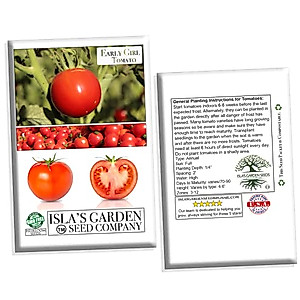 "Early Girl" Tomato Seeds for Planting, 25+ Seeds Per Packet, (Isla's Garden Seeds), Non GMO Seeds, Botanical Name: Solanum lycopersicum, 90% Germination Rate, Great Home Garden Gift
