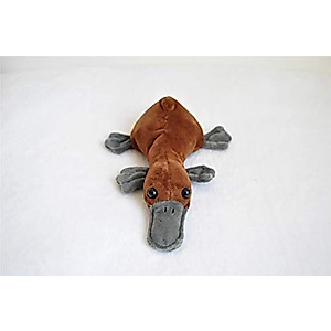 TAMMYFLYFLY 8.6" Realistic Platypus Soft Plush Pillow Kawaii Girls and Boys Stuffed Animals Toys Duckbill for Kids' Gifts (Duckbill) (American)