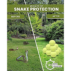 Snake Repellent for Yard Powerful, Snake Away Repellent for Outdoors Pet Safe, 10 Pack Moth Balls Snake Repellent for Copperhead, Waterproof & Sun-Proof All Natural Snake Repellent Safe for Dogs