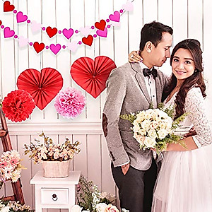 Blulu Valentine's Day Paper Kit Party Decorations, Multicolor Tissue Paper Flowers Bunting Hanging Fan for Party Decorations (12 Pieces Style 1)