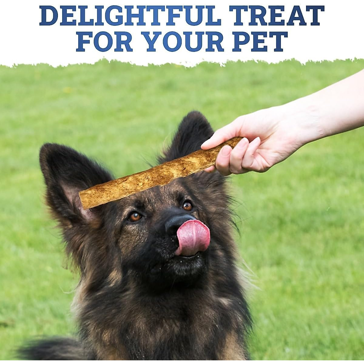 Chew Safe Premium Rolls Dog Chew Treats | Beef | 2-Pack | Two 10" Rolls Per Pack | Rawhide Alternative | Long Lasting, High Protein, Highly Digestible for Small Dogs, for Healthy Teeth