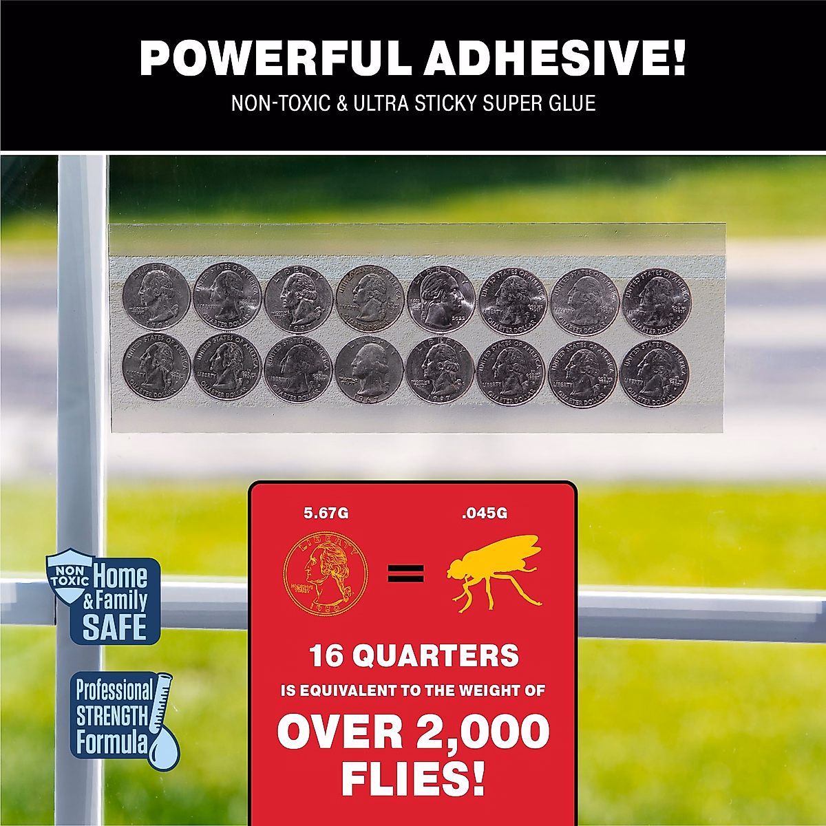 Catchmaster Fly Trap Bundle, Window Fly Traps 12-Pack & Fly Ribbon 20-Pack, Bug & Fly Traps for Indoors and Outdoors, for Garage, Backyard, Pool, & Patio