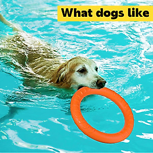 Leitee 2 Pack Dog Ring Toys Indestructible Dog Toys Dog Chewing Ring Toy Flying Discs Floating Dog Training Tools Pet Fetch Toy for Small Medium Large Dogs Throwing, Catching, Flying