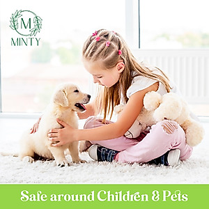 Minty Ant Killer - Natural 5% Peppermint Essential Oil Spray for Bugs, Ants and Insects - Safe for Indoor & Outdoor Use Repellent Spray 128 Fl Oz Gallon Trigger Sprayer