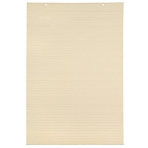 School Smart Jumbo Manila Tag Ruled Chart Paper, 36 x 24 Inches, Pack of 100 - 006435