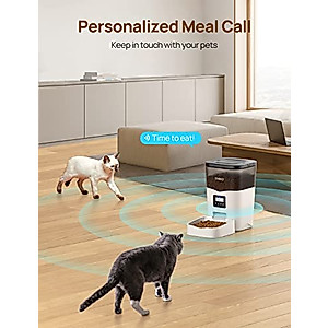 Ymiko Automatic Cat Feeder, Cat Food Dispenser with Voice Recorder, Timed Small Pet Feeder with Programmable Timer, 1-4 Meals Per Day, 3L/12.7 Cups Capacity