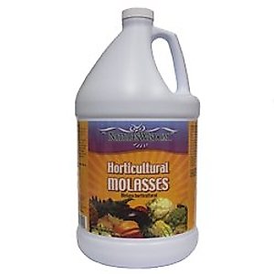 Liquid Molasses Horticultural - Gallon