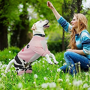 IKIPUKO Dog Pajamas with Button, Cartoon Pattern Pet PJS Pet Hair Shedding Onesie for Cats Small Medium Dogs, 4 Legged Shirt Pet Jumpsuit Outfit for Spring Autumn(Pig-XXS)