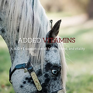 Redmond Equine Electrolyte Paste | Electrolytes Supplement for Horses