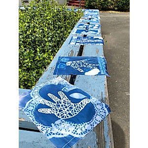 Jacquard Cyanotype Sensitizer Set