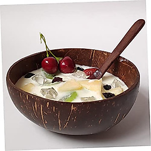 Holibanna 2 Pcs Coconut Shell Rice Bowl Pasta Containers Rice Bowls Japanese Ornament Container Ramen Bowls Ice Cream Bowl Wooden Storage Bowl Coconuts Snack Bowl Salad Storage Bowl Salad