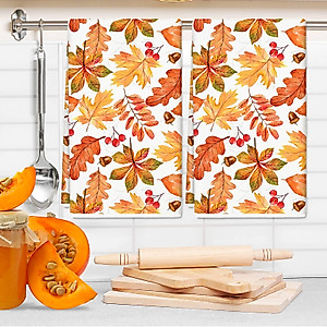 JarThenaAMCS Fall Leaves Kitchen Towels Watercolor Maple Leaves Dish Towels 18 x 28 Inch Autumn Hand Drying Tea Towels for Thanksgiving Cooking Baking Cleaning Wipe, Set of 2