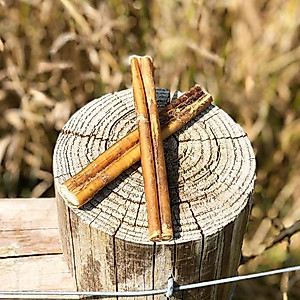 Bullysticks Organic Standard 6" Bully Sticks for Dogs - All Natural Dog Treat, These Chews are Free Range Bully Sticks, USDA Approved (10 Pack)