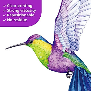 DECOWALL DS-8060 Tropical Flowers and Hummingbirds Wall Decals Stickers Room Bedroom Living décor Art Bird murals Removable Leaf Tree Vinyl Nursery Stick Window Home Peel DIY Kids Flying Decorations