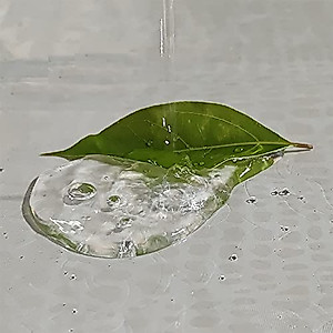 Clear Table Protector Thick Transparent Plastic Tablecloth Waterproof and Oil-Proof Perfect for Oval Dinner Table and Writing Desk – 5472 Inch