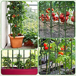 Canmilar 3 Pack Tomato Cages,Up to 51inch Plant Stakes Vegetable Trellis Assembledfor Garden Climbing Plants Vegetables Flowers