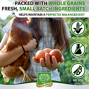 Small Pet Select Sustainable Chicken Scratch, Non-GMO, Corn Free, Soy Free. Locally Sourced & Made in Small Batches. 10 lb