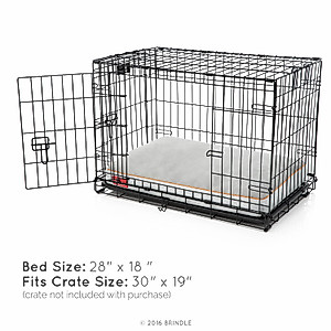 BRINDLE Stone Shredded Memory Foam Pet Bed - Pet Essentials - Orthopedic Design - Pet Crate Compatible - Machine Washable Cover - Indoor Pet Bed for Dogs, Puppies, Cats, and Rabbits - Size Medium