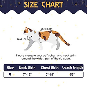 PAWCHIE Cat Harness and Leash Set - Adjustable Soft Escape Proof H-shped Safety Strap with Golden Moon and Star Pattern Glow in The Dark for Pet Cats Outdoor Walking
