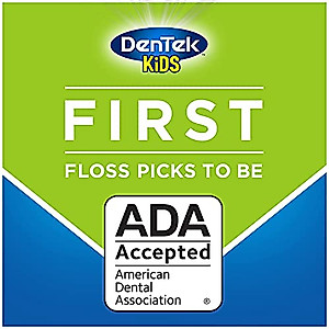 DenTek Kids Fun Flossers, Wild Fruit, 90 Count
