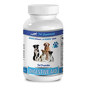 dog treats for bad breath - DOG DIGESTIVE AID PROBIOTICS - NATURAL APPROACH - SOLUTION TO BAD BREATH AND GAS - COUNTER DIARRHEA - dog probiotics packets - 1 Bottle (60 Treats)