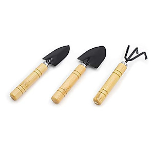 FALIDI Bonsai Set 10 PCS-Mini Gardening Tools Kit for Indoor Outdoor Bonzai Include Pruner, Fold Scissors, Mini Rake, Tweezers, Cleaning Brush